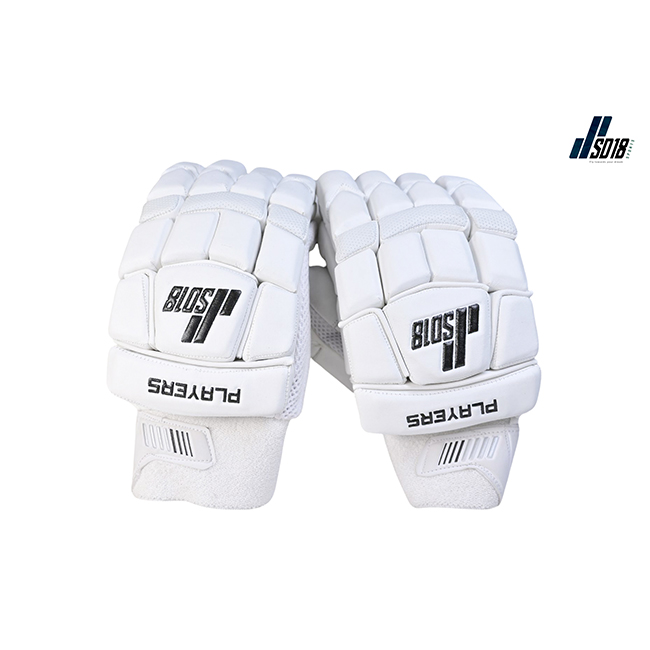 SD18SPORTS